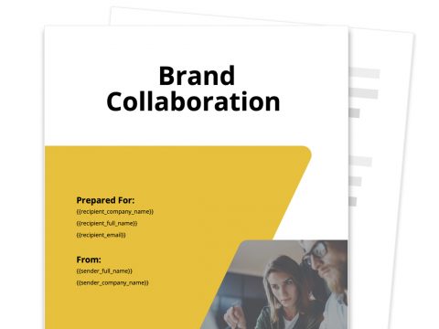 Brand Collaboration Proposal Template - [Free Sample] | Proposable